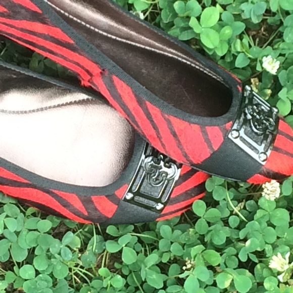 Isola | Shoes | Red And Black Zebra Print Flats | Poshmark
